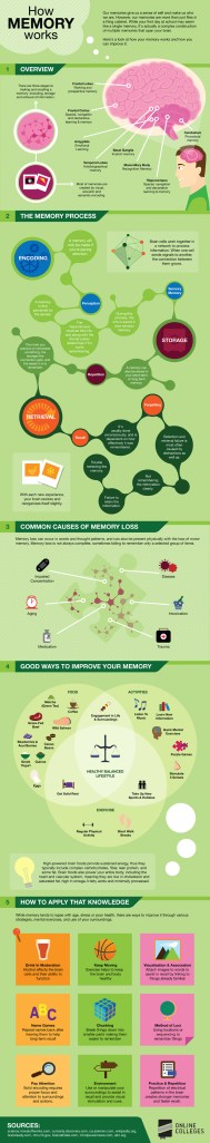 How Memory Works & Ways to Improve Your Memory – Are There Apps for ...